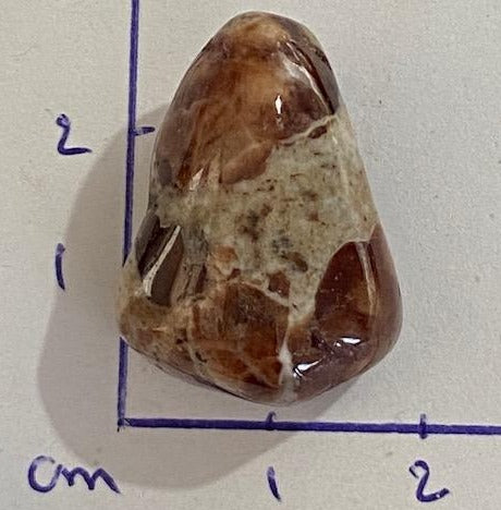 Garnet Limestone – Oasis de Cristal