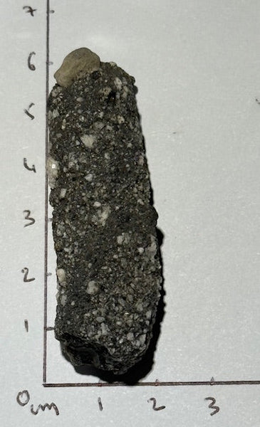 Black Root Fulgurite (Very Rare) – Oasis de Cristal