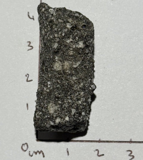 Fulgurite Racine Noire Joshua (Très Rare) – Oasis de Cristal