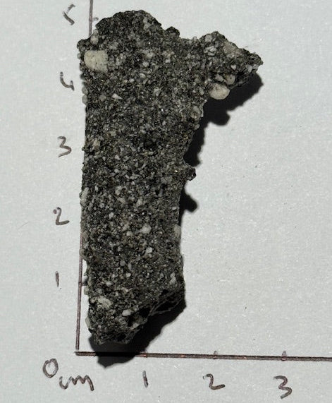 Fulgurite Black Root Joshua (Very Rare) – Oasis de Cristal
