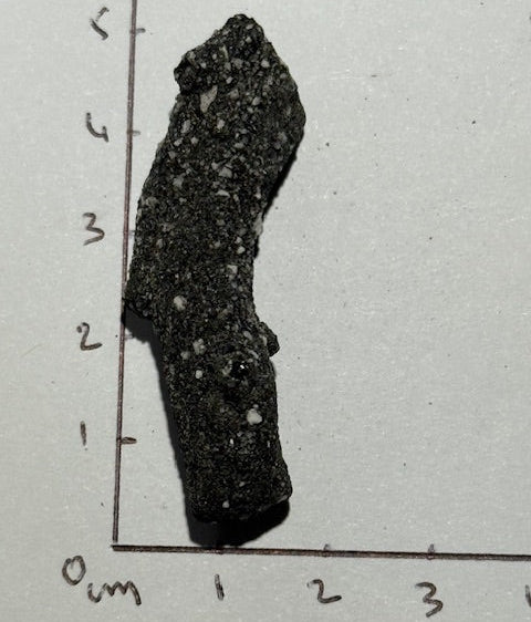 Fulgurite Black Root Joshua (Very Rare) – Oasis de Cristal