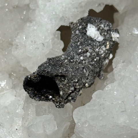 Fulgurite Racine Noire Joshua (Très Rare) – Oasis de Cristal