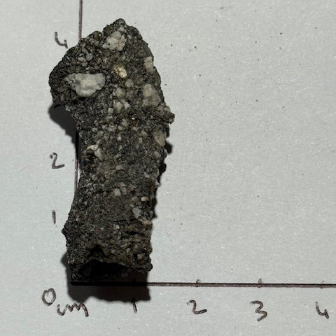 Fulgurite Black Root Joshua (Very Rare) – Oasis de Cristal