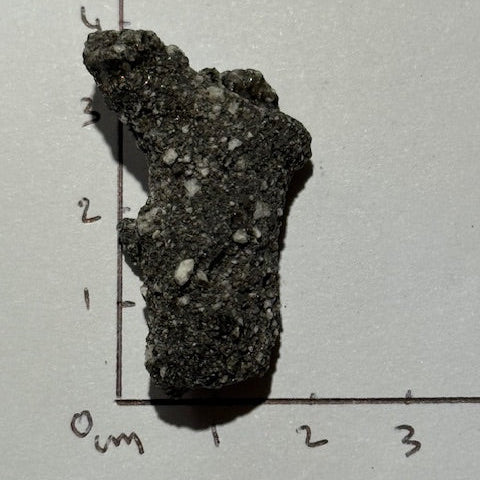 Fulgurite Racine Noire Joshua (Très Rare) – Oasis de Cristal