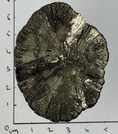 Pyrite Flower – Oasis de Cristal