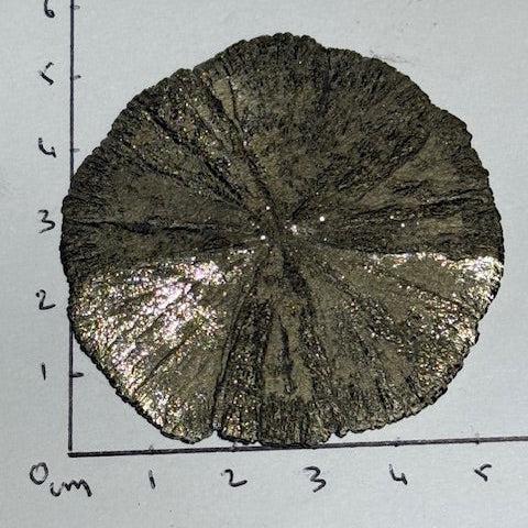 Pyrite Flower – Oasis de Cristal