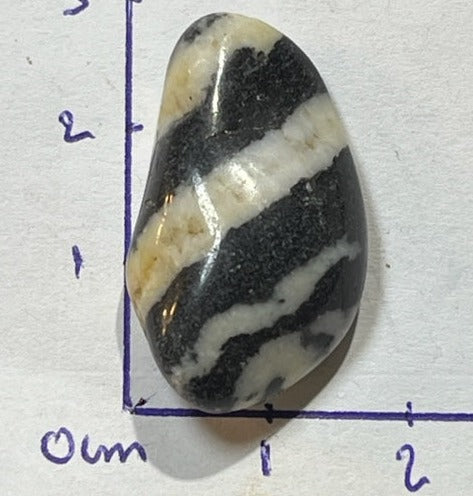 Zebra Jasper – Oasis de Cristal
