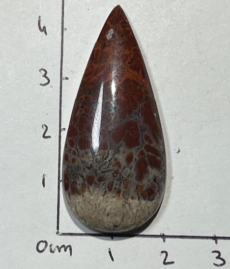 Agate Plume – Oasis de Cristal
