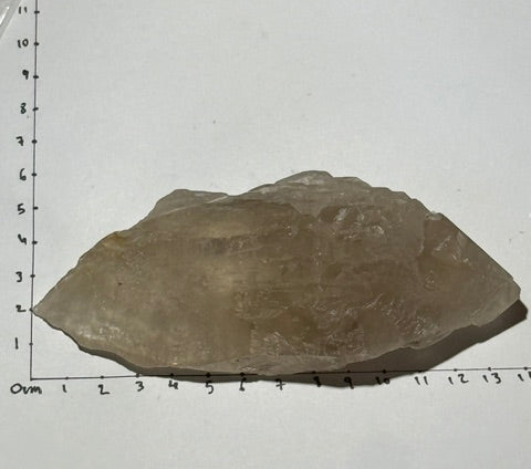 Fossilized Whale Inner Ear – Oasis de Cristal