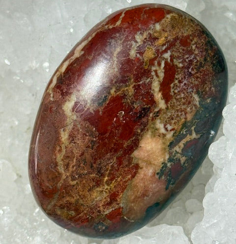 Fossilized Whale Inner Ear – Oasis de Cristal