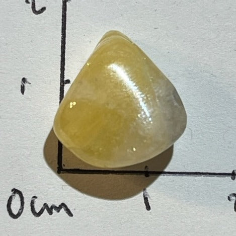 Golden Danburite – Oasis de Cristal