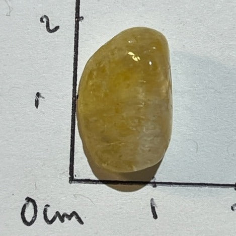 Golden Danburite – Oasis de Cristal