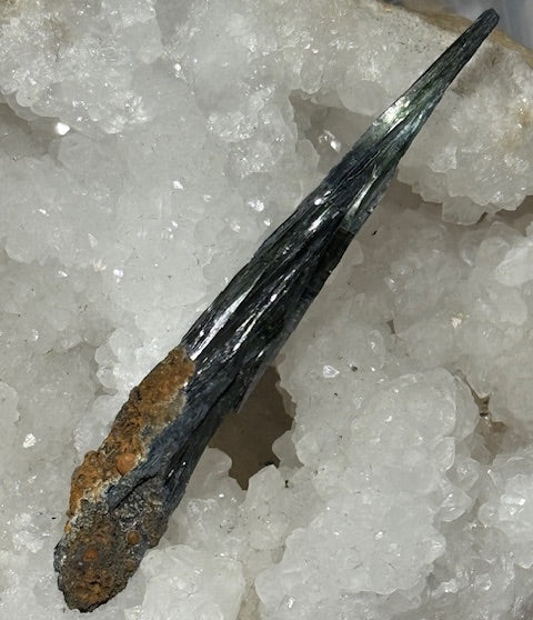 Fossilized Whale Inner Ear – Oasis de Cristal