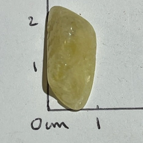 Golden Danburite – Oasis de Cristal