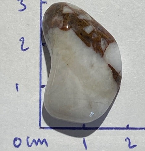 Cataclasite (Impact Quartz) – Oasis de Cristal