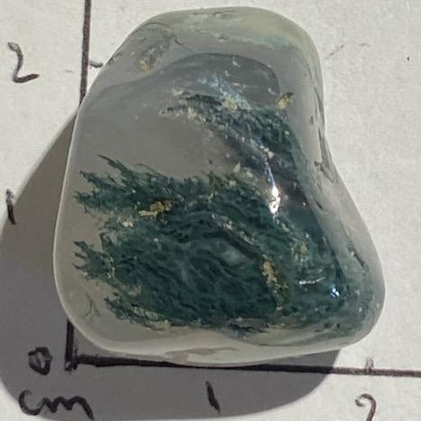 Moss Agate – Oasis de Cristal