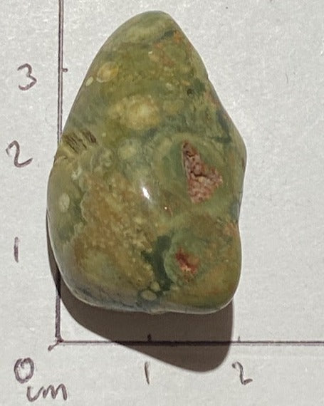 Rainforest Jasper (Rhyolite) – Oasis de Cristal
