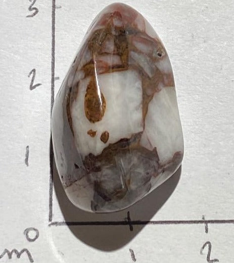 Cataclasite / Impact Quartz – Oasis de Cristal