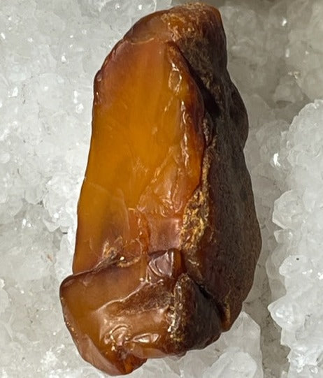 Ambre Baltique – Oasis de Cristal