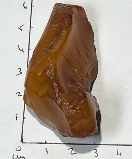 Ambre Baltique – Oasis de Cristal